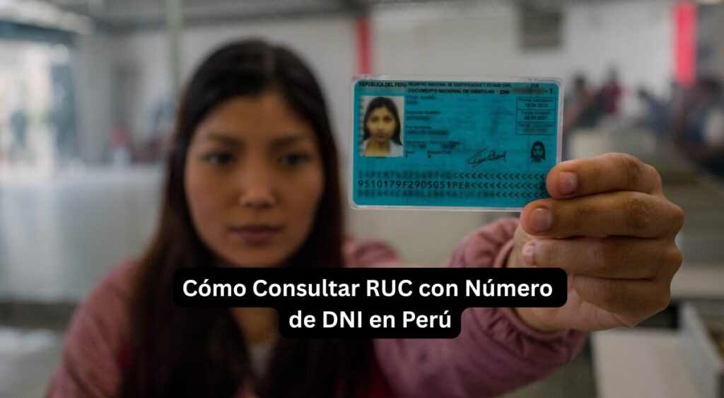 Cómo Consultar RUC con Número de DNI en Perú
